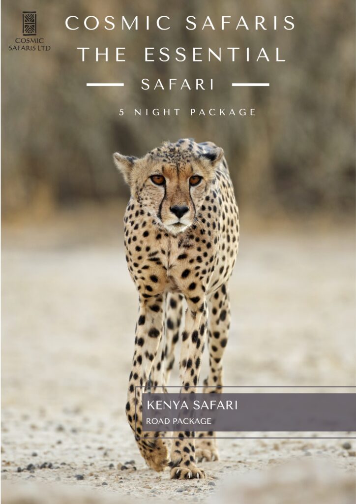 The Essential Safari – Cosmic Safaris