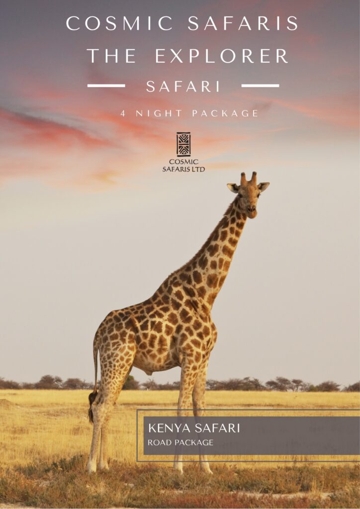 The Explorer Safari – Cosmic Safaris